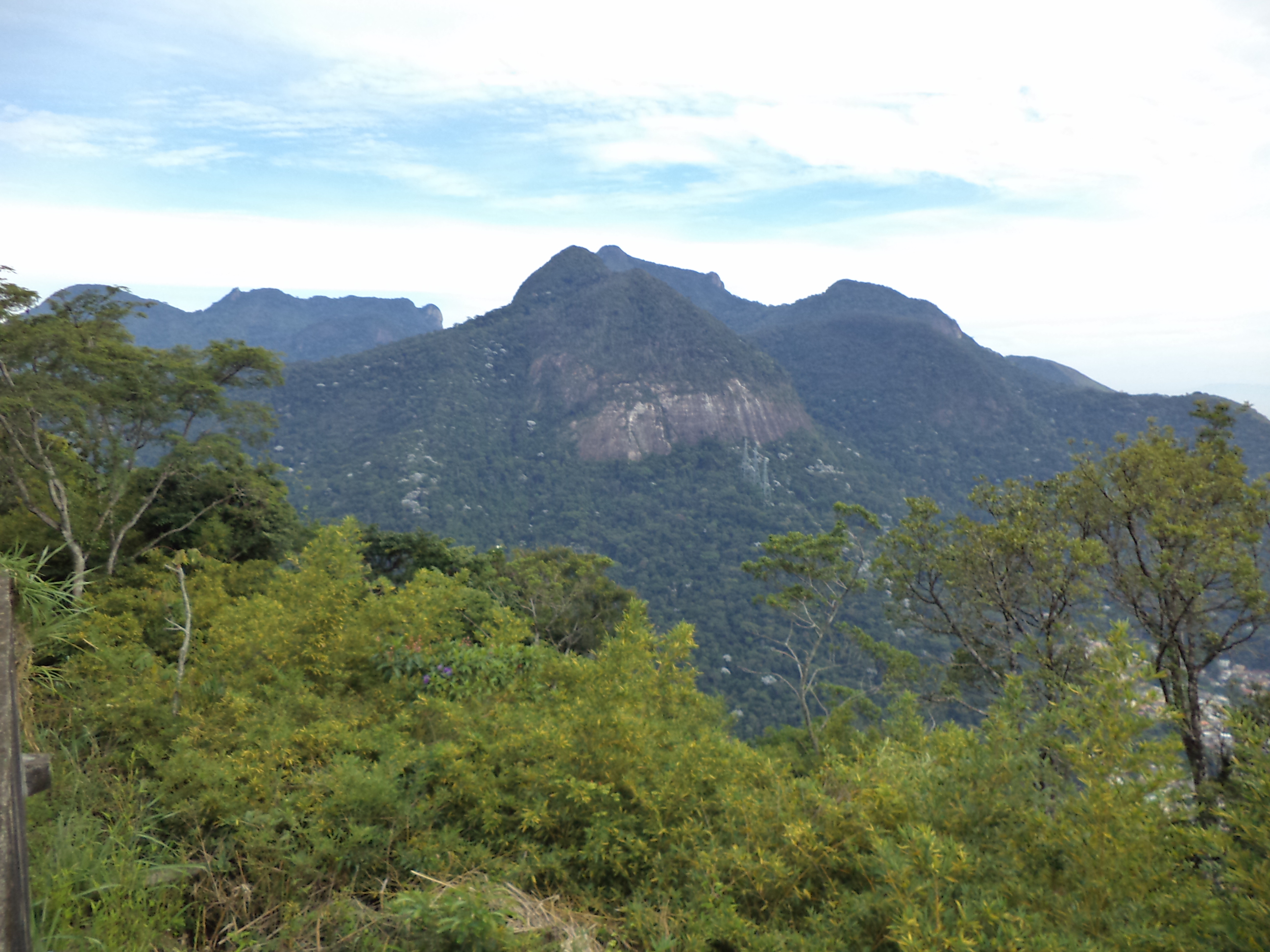Parque Nacional da Tijuca (Setor A - Floresta da Tijuca) - Rio de Janeiro