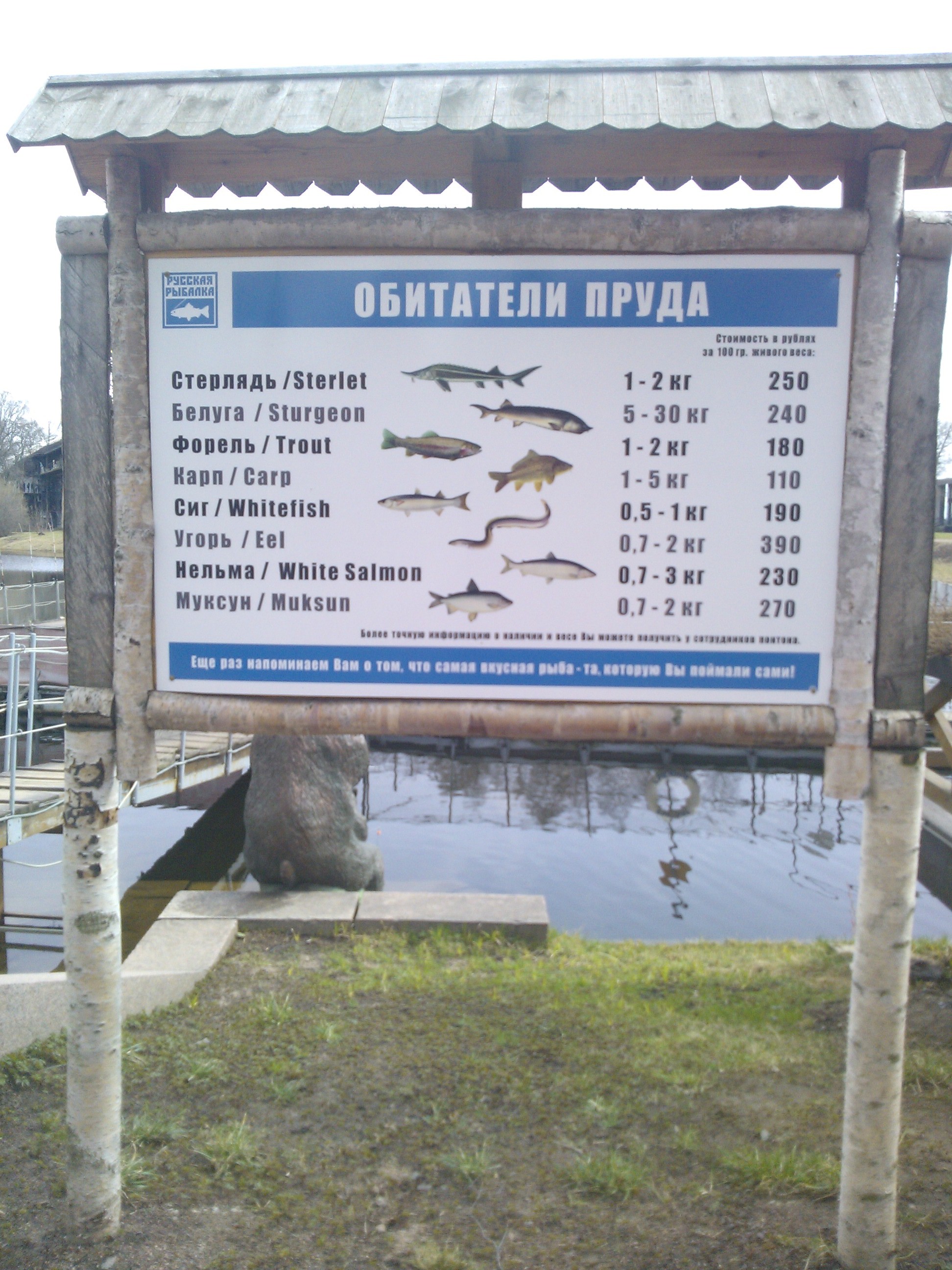 Russkaya Rybalka ('The Russian Fishing') restaurant - Saint Petersburg ...