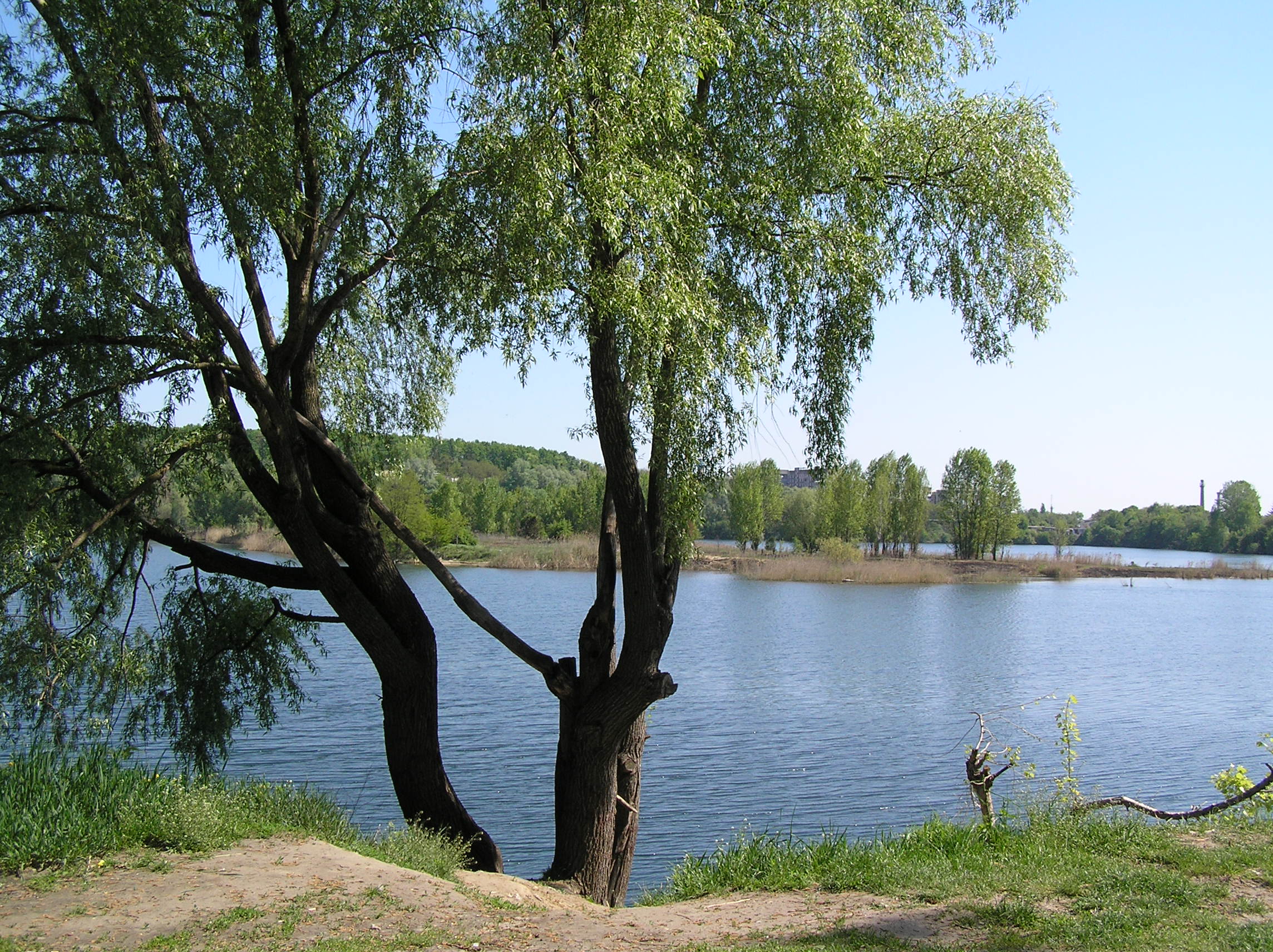 Quarry pond - Bucha