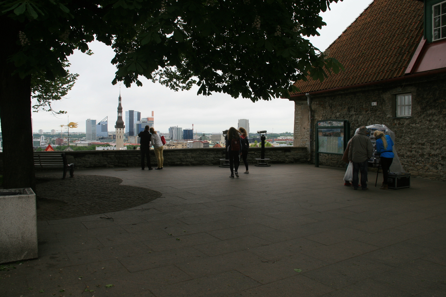 Kohtuotsa viewing point - Tallinn