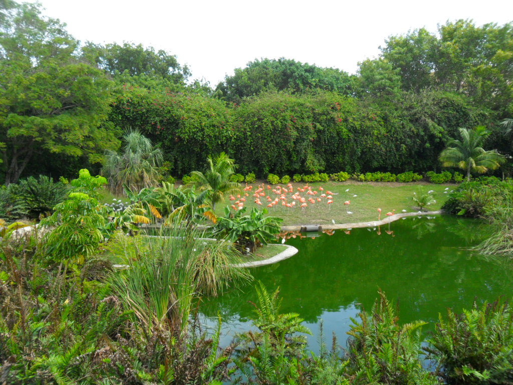 Flamingo Lake - Miami, Florida