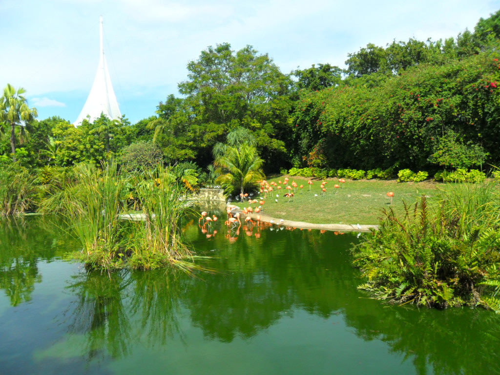 Flamingo Lake - Miami, Florida