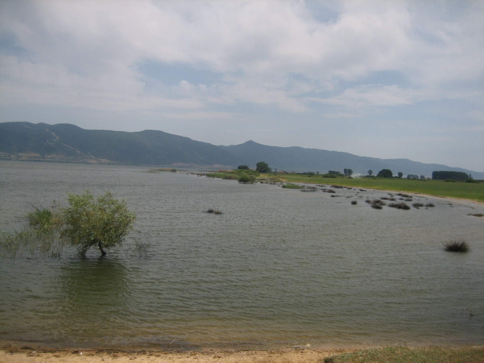 Volvi lake