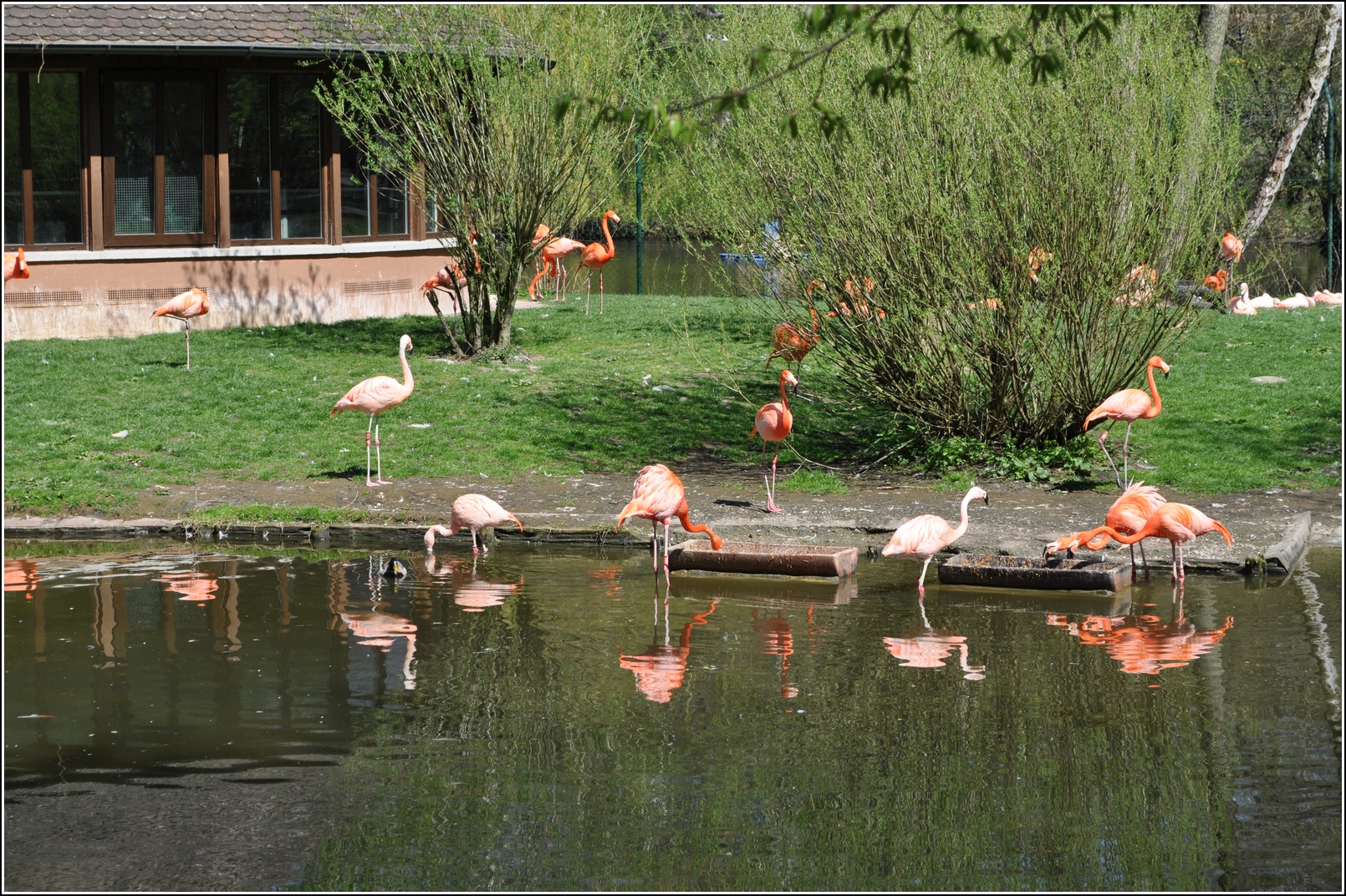 Tiergarten Nürnberg - Nuremberg