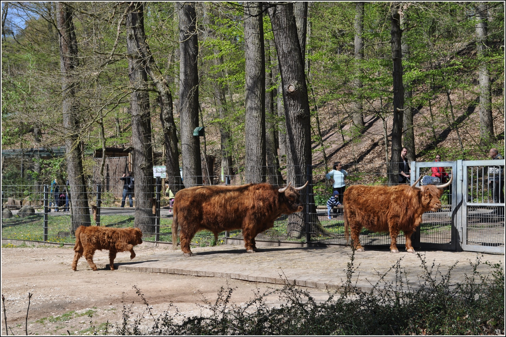 Tiergarten Nürnberg - Nuremberg