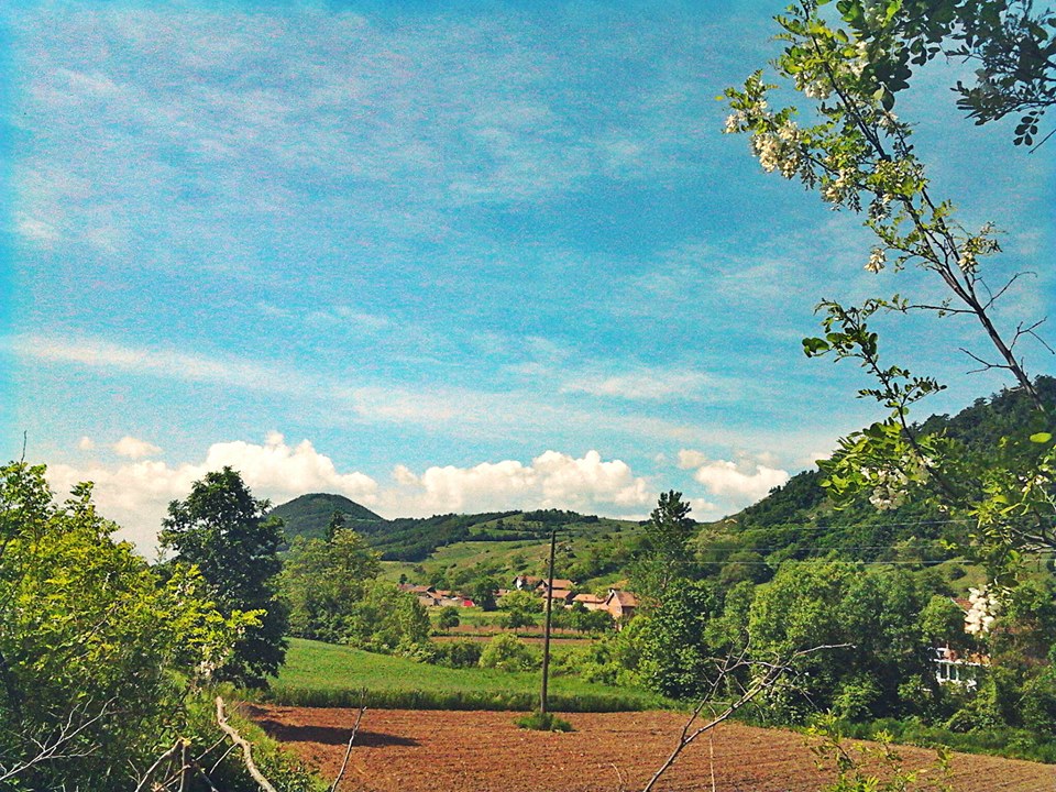 Ceceli
