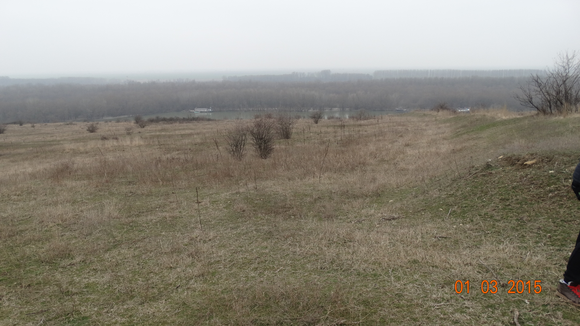 Cetatea Pătulului Fortress