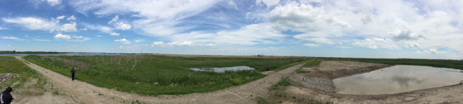 Pointe Mouillee State Game Area