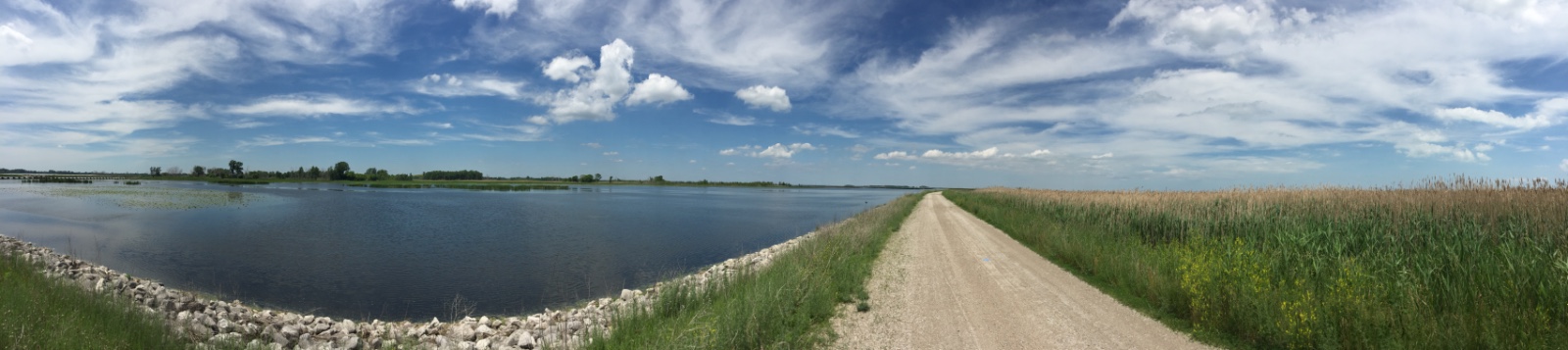 Pointe Mouillee State Game Area