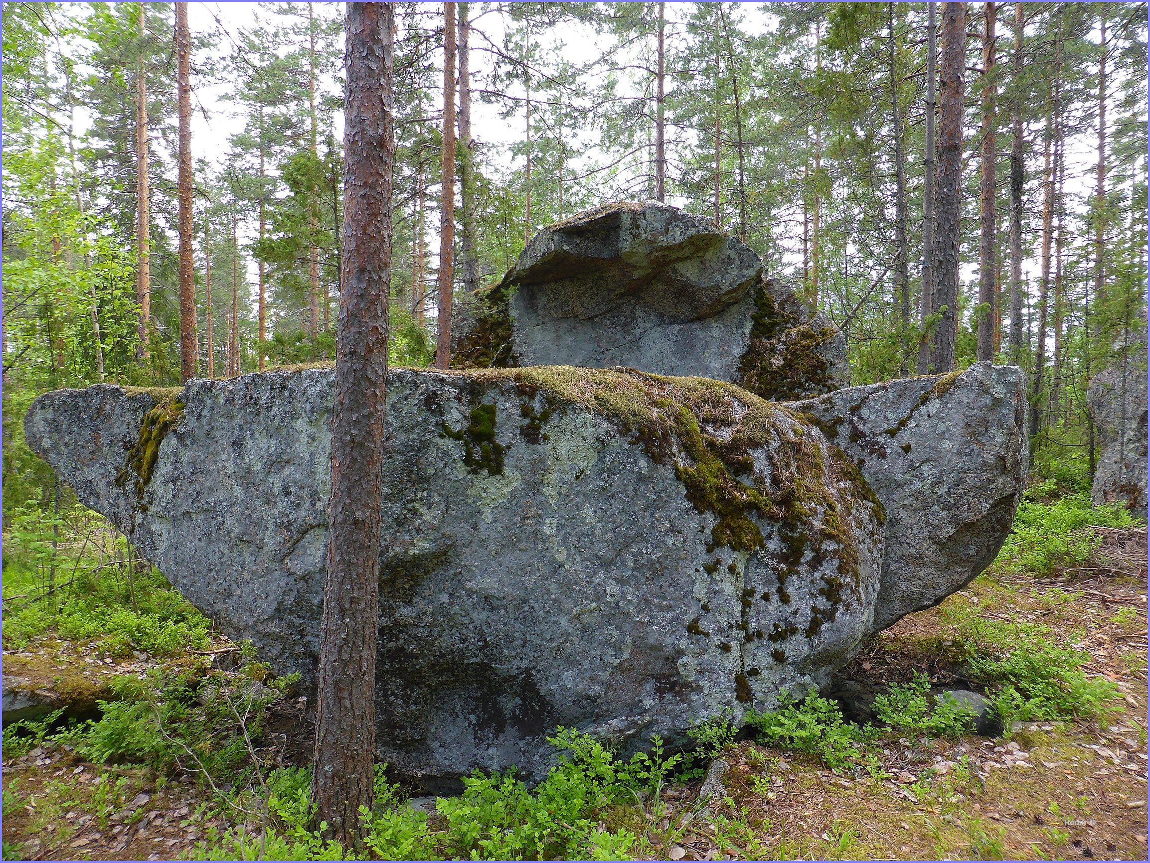 Fragments of a boulder