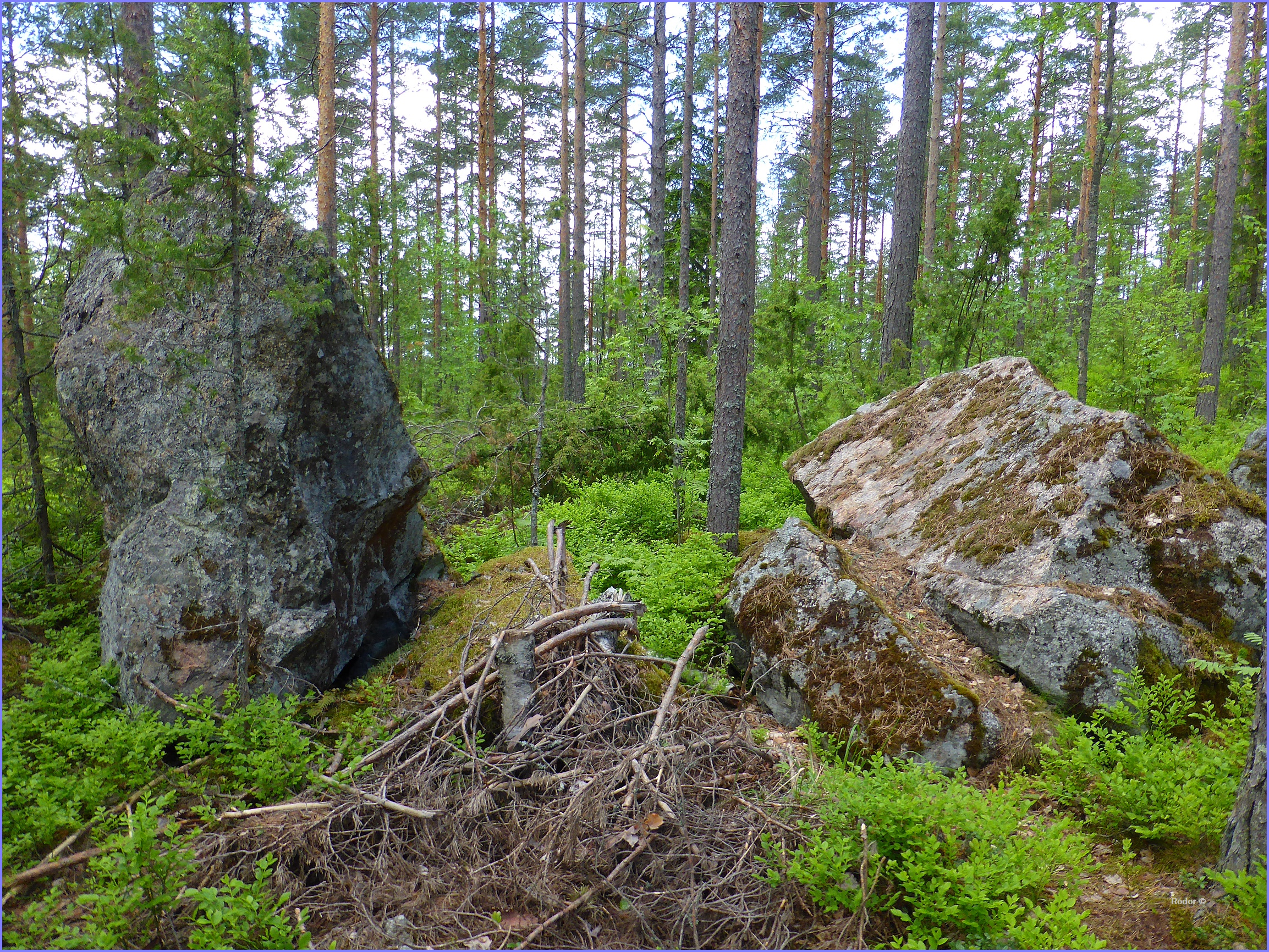 Fragments of a boulder
