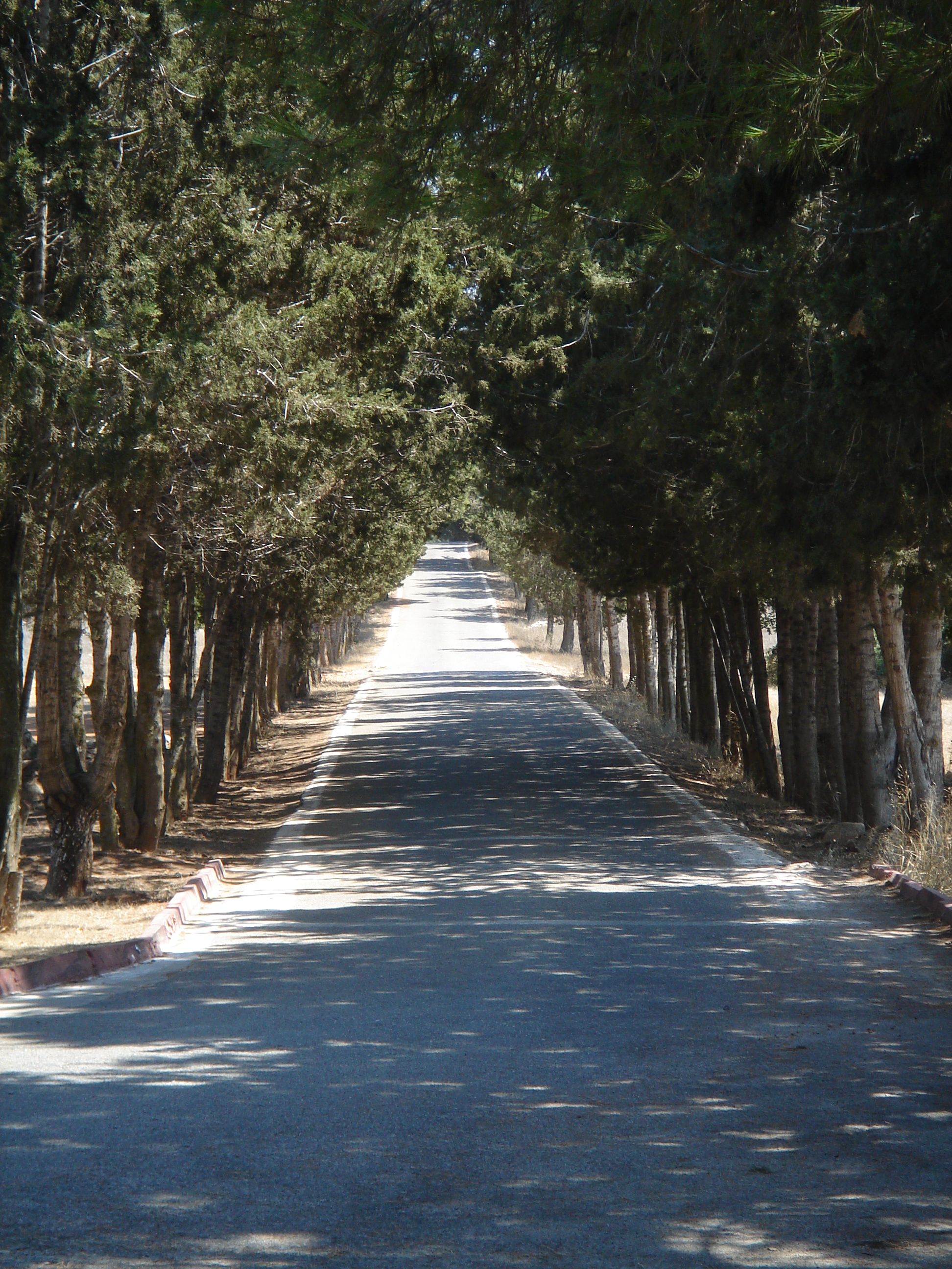 Blue House, Byron Pavlides' Villa