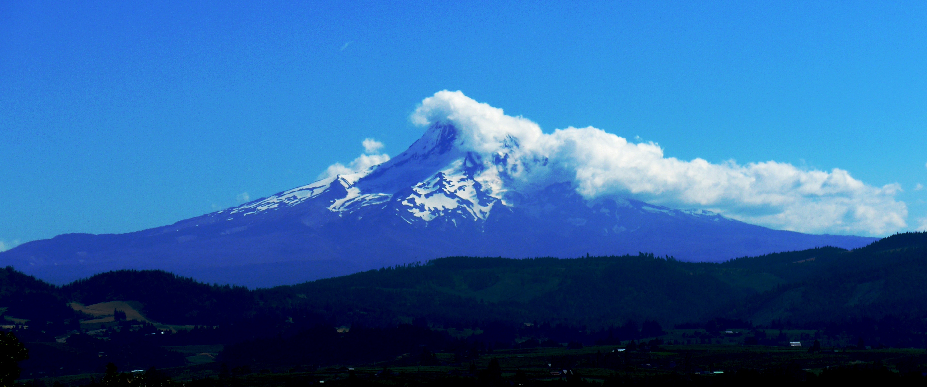 Mount Hood National Forest