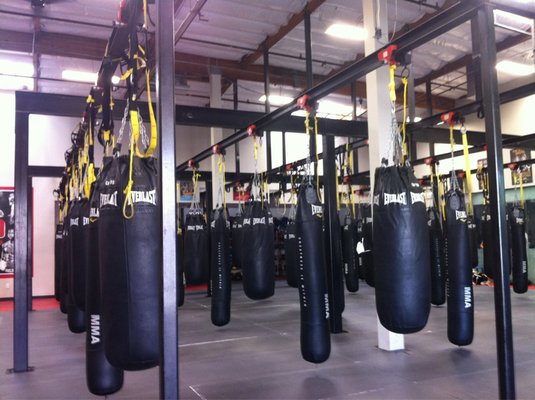 Indiscutible Gimnasio de Boxeo - San Carlos