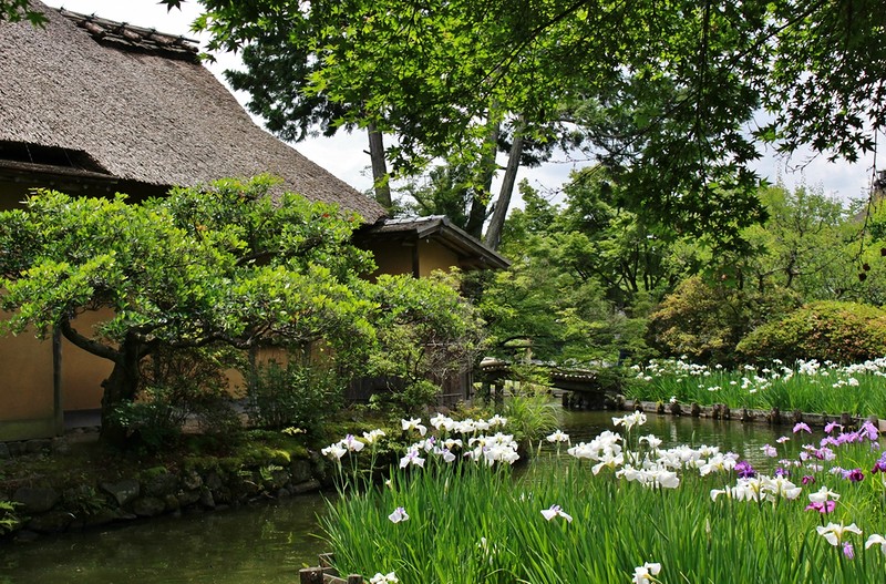 Teahouse - Kyoto