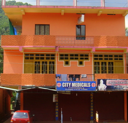 KUDIANMALA TO KANAKAKUNNU TO KARUVANCHAL ROAD, MARIADIYIL BUILDING