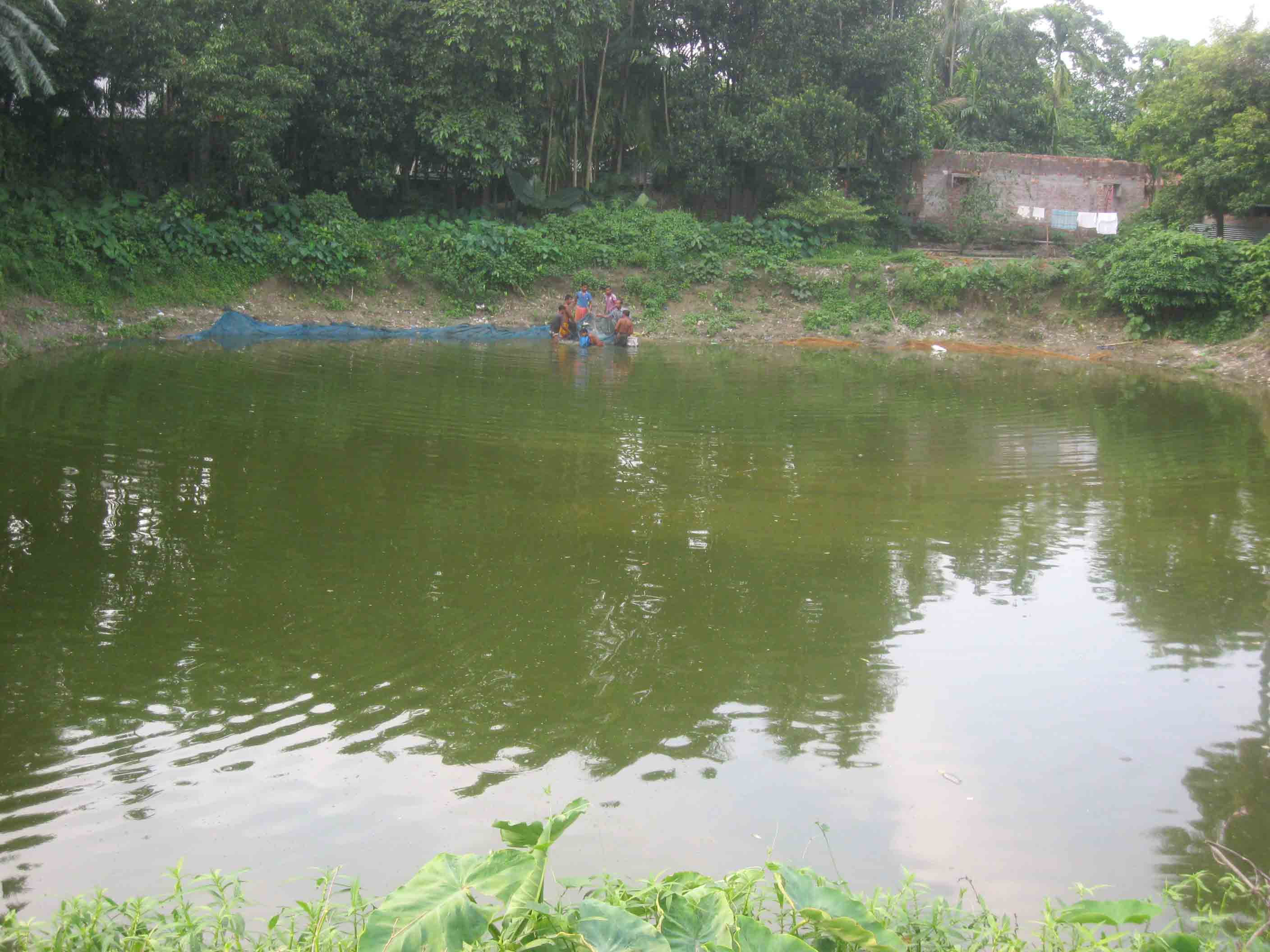 Parbati Das's Pukur
