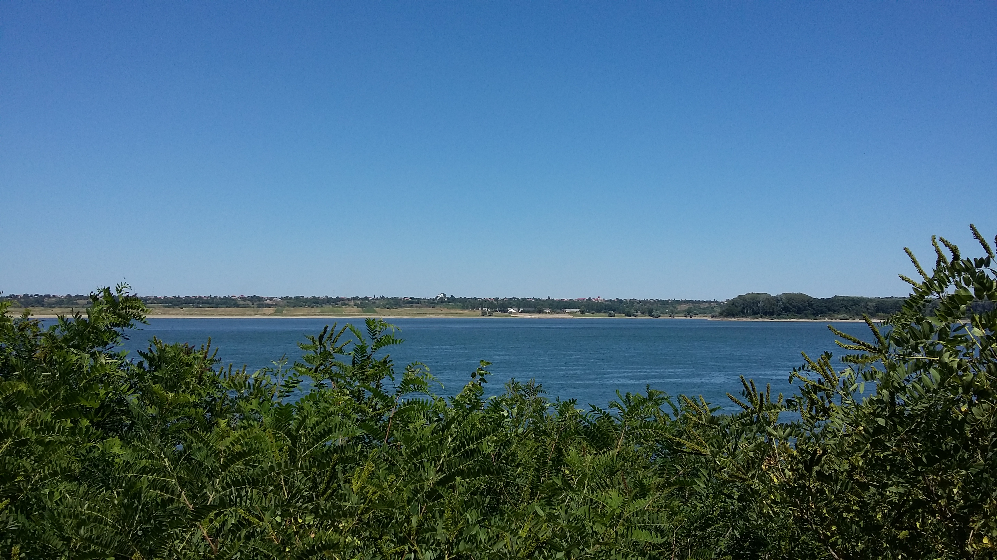 Gârla Mare (Nederlands)