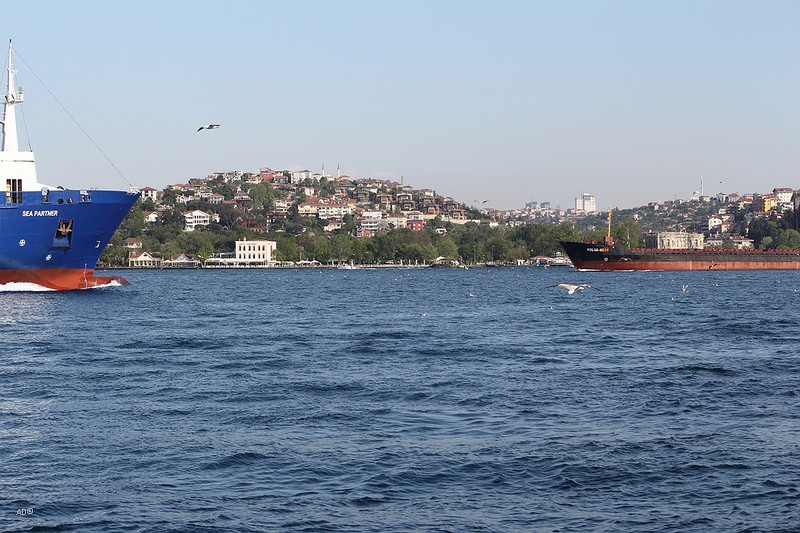 Kandilli - İstanbul Büyükşehir Belediyesi