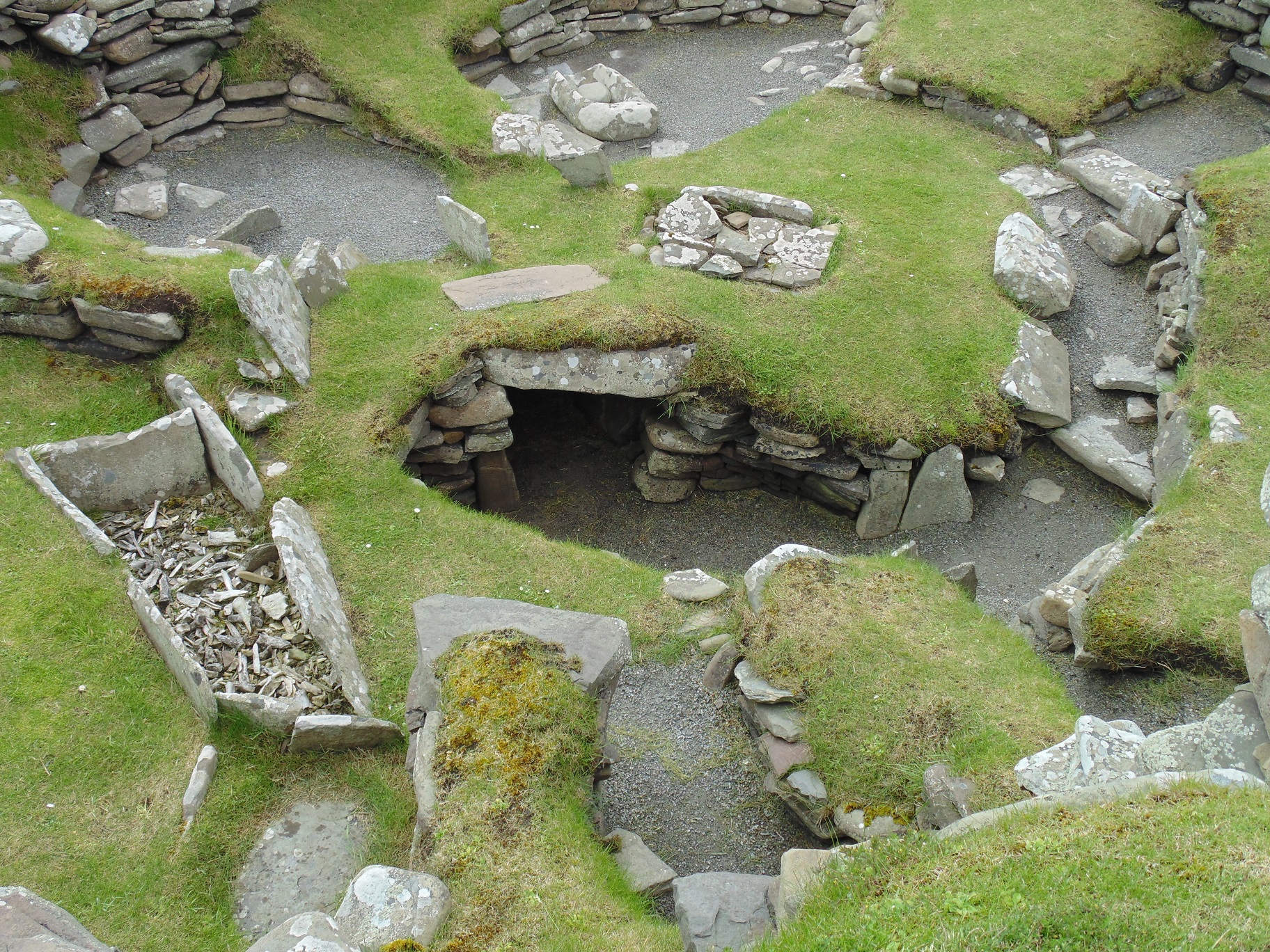 The iron age settlement
