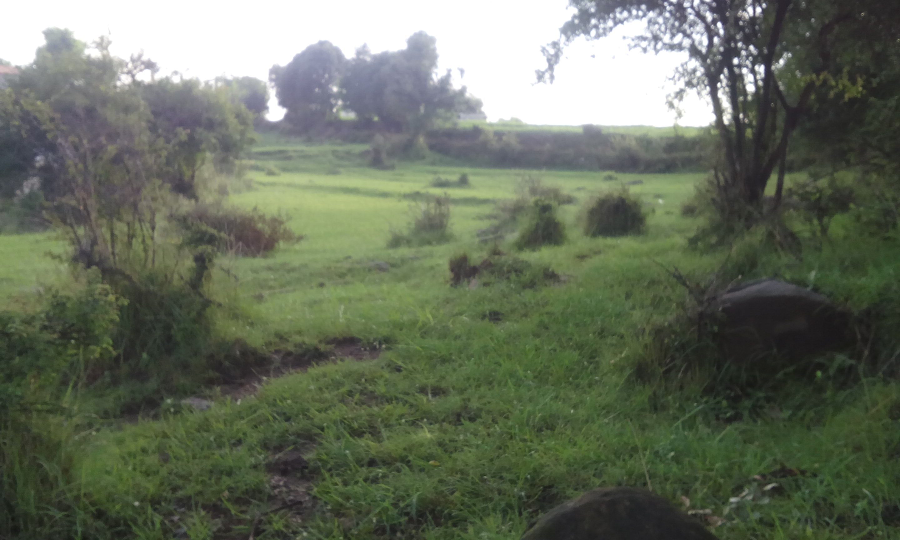 Ari wala doga - Nanyah