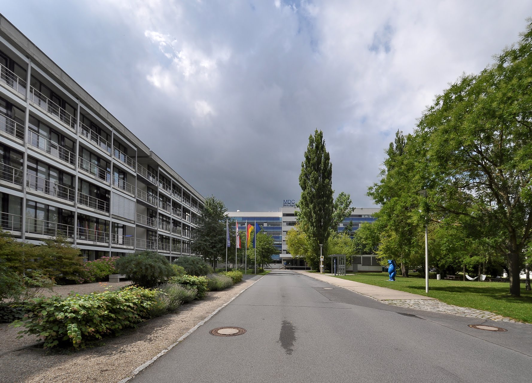 Max Delbrück Centrum für Molekulare Medizin (MDC) - Berlin