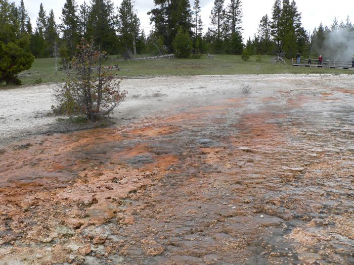 Potts Hots Springs Basin