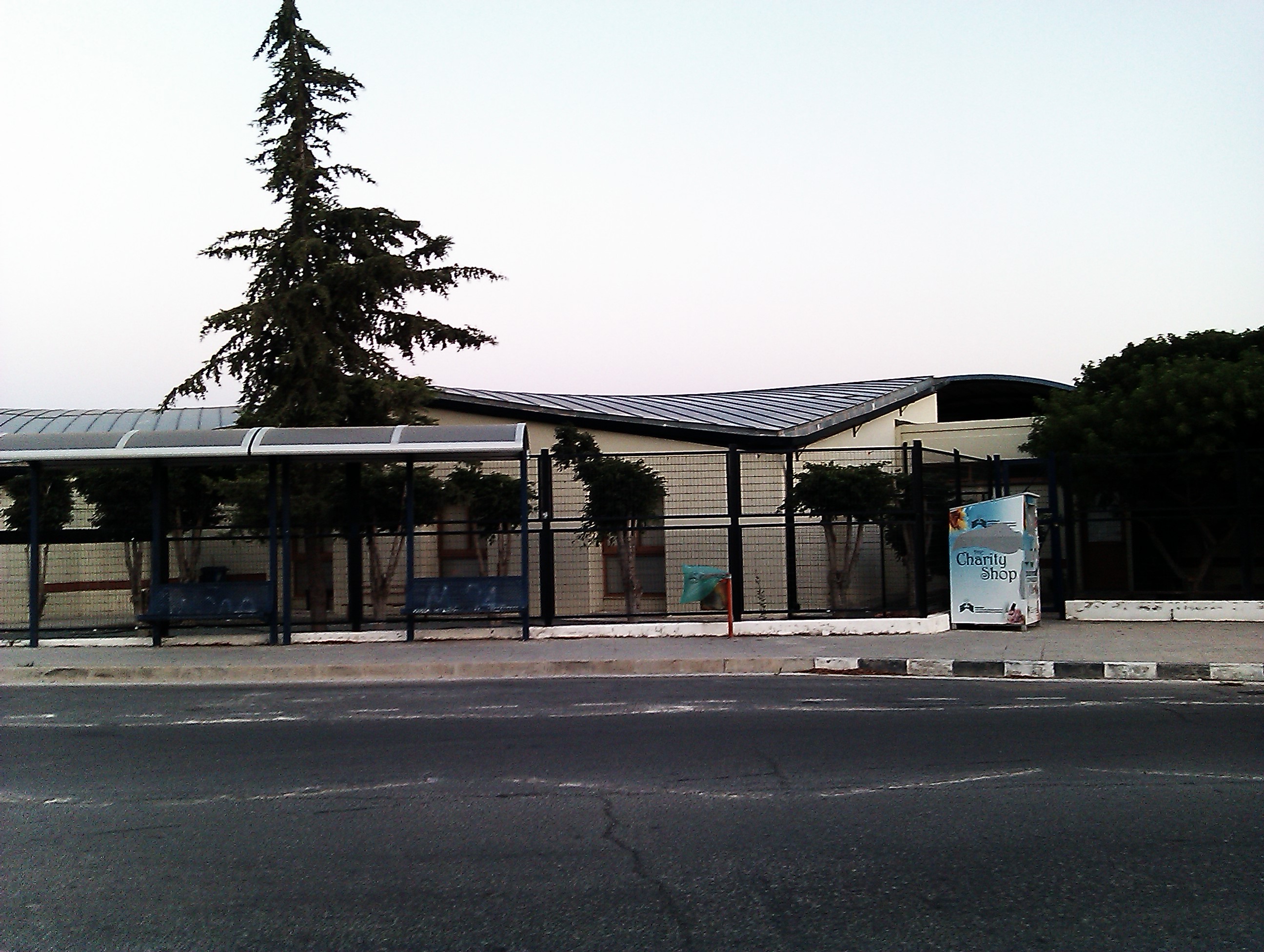 Linopetra Lyceum