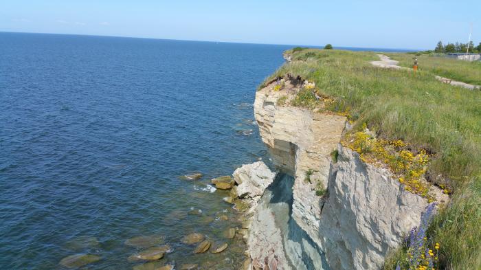 Pakri pank - Paldiski | outcrop (rocks) (en), mielenkiintoinen paikka