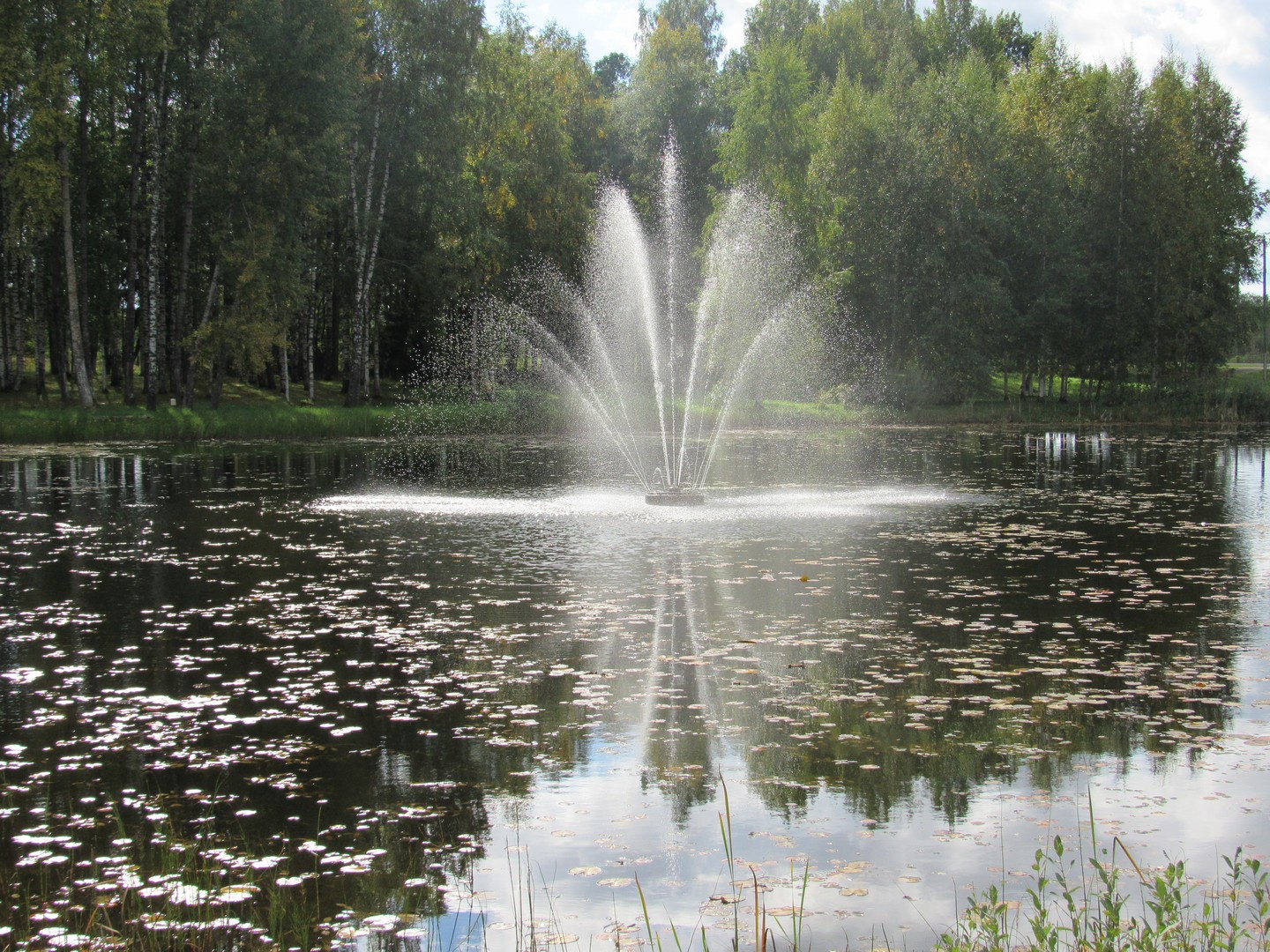 Pond with a fountain - Vecpiebalga