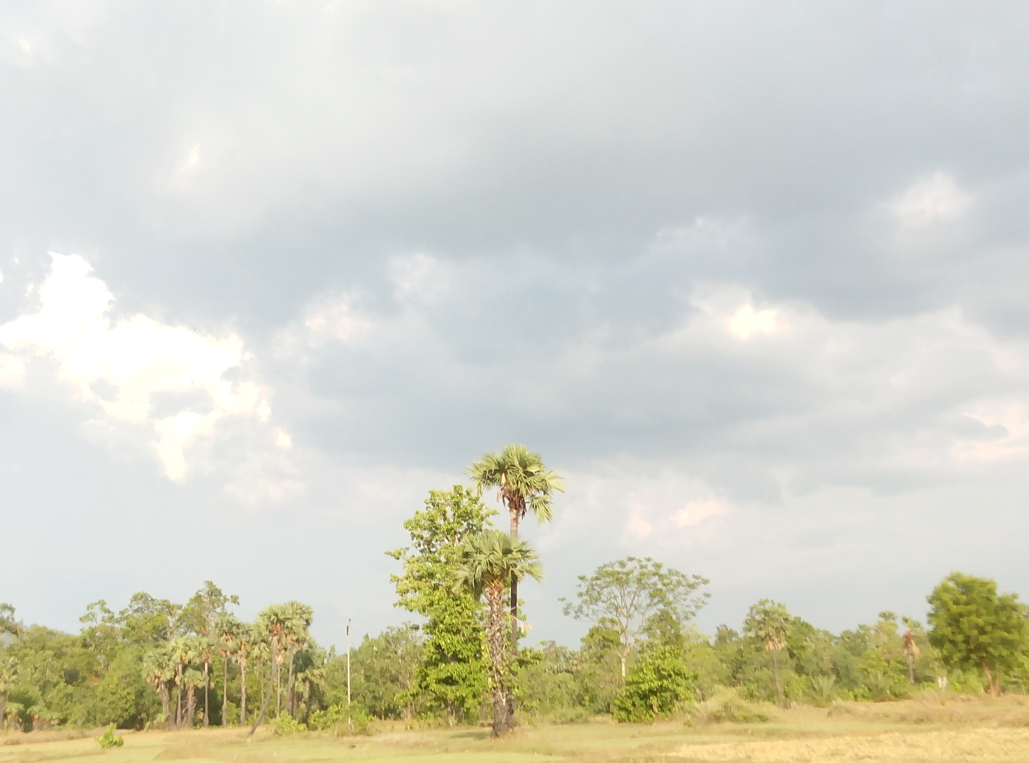 Dolia,Dhenkanal,India | village