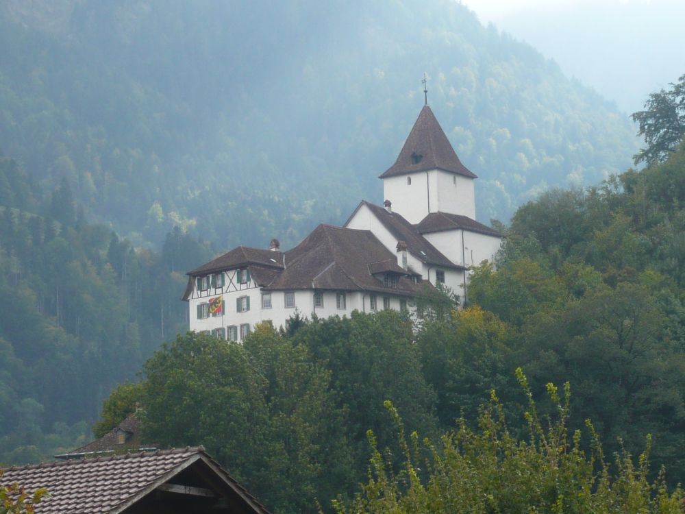 Schloss Wimmis