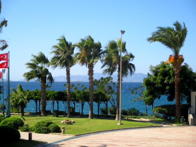Sabanci Park (Park Of Sabanci)