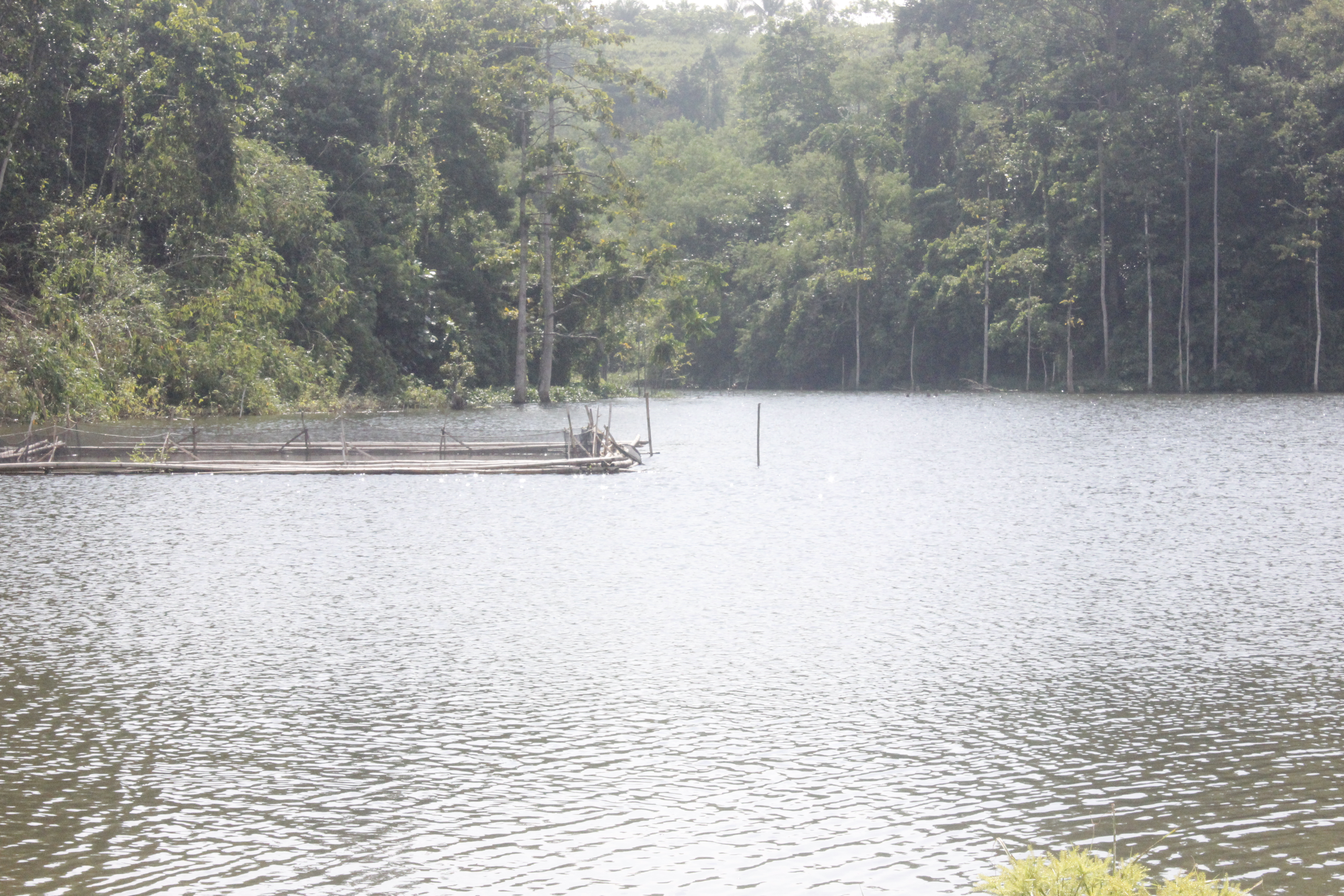 Lake Pisan