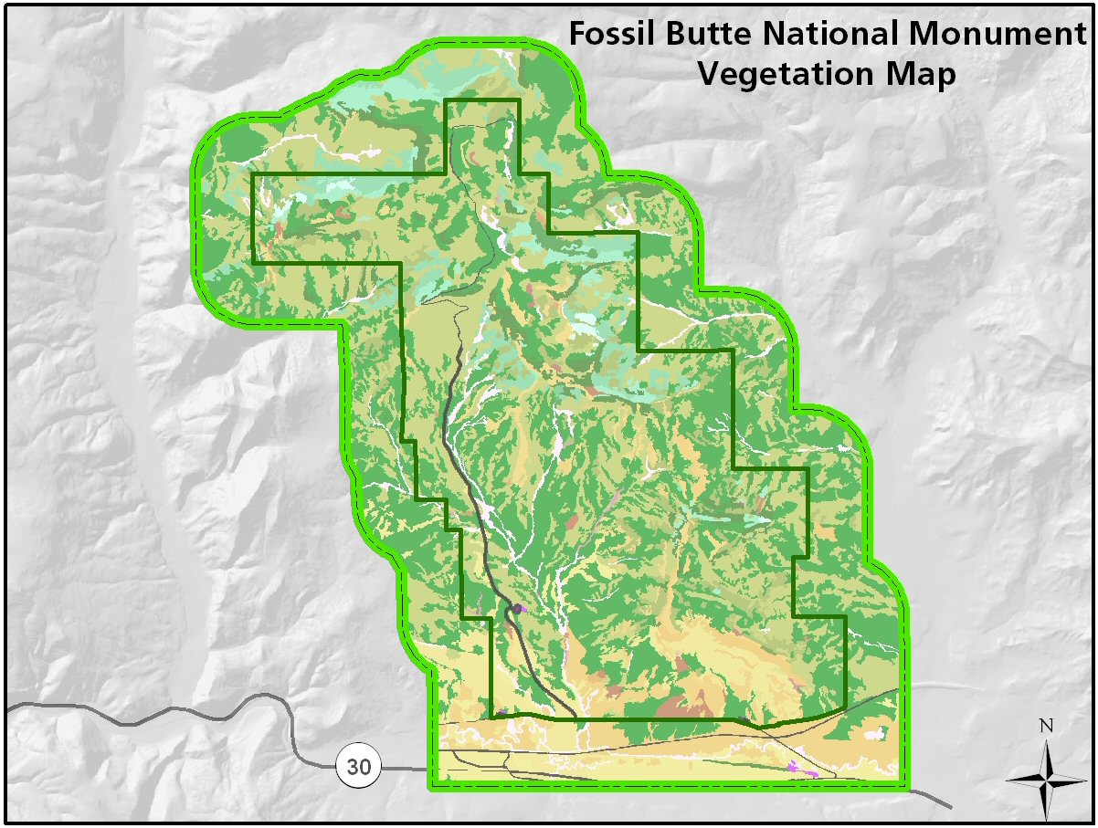 Fossil Butte National Monument