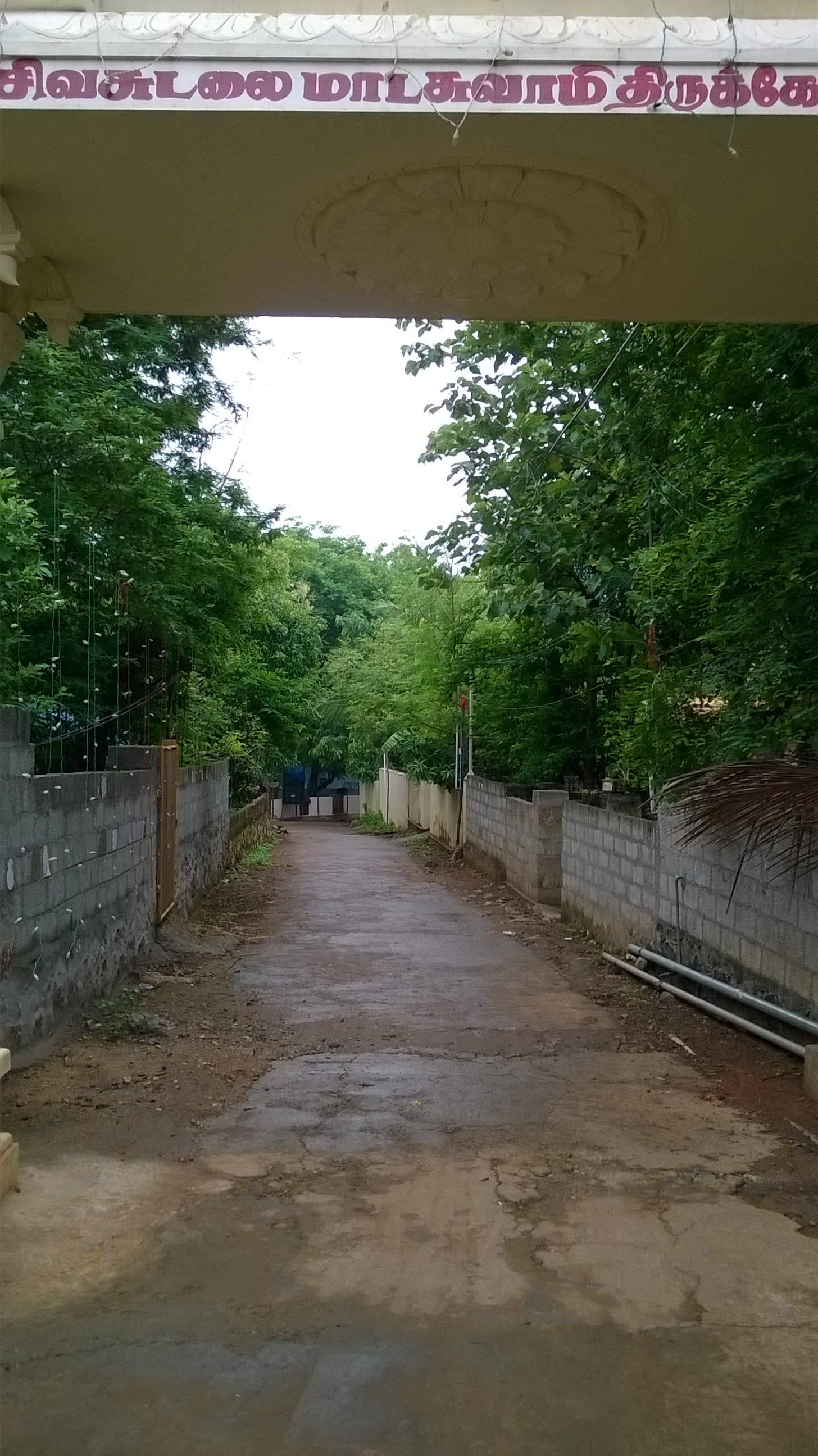 Udayar pallam