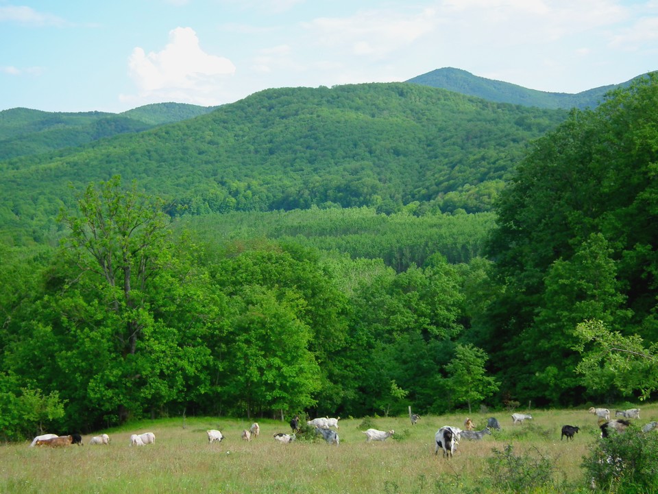 Mount Yıldız / Strandzha