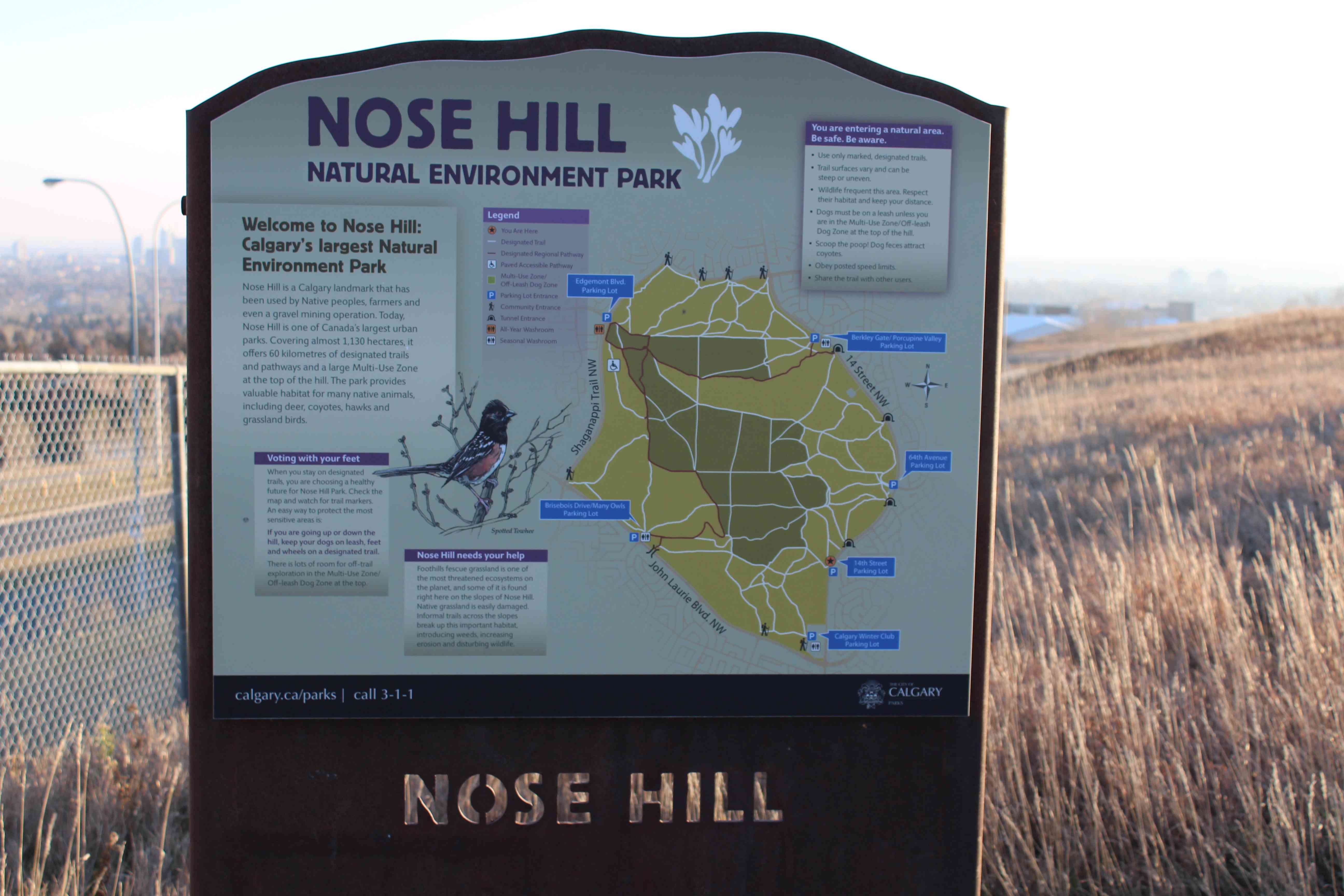 Nose Hill