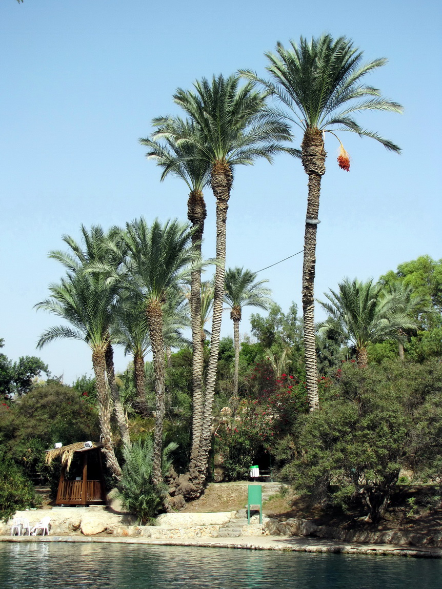 Gan HaShlosha (Sahne)