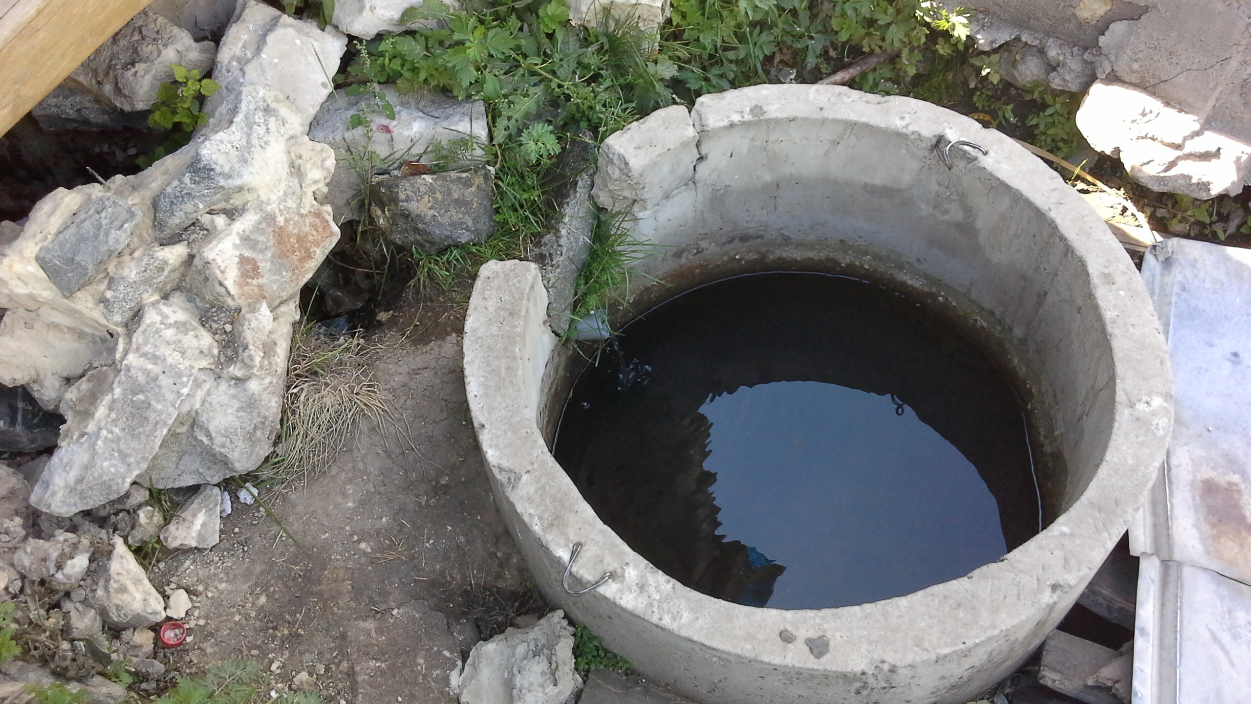 Родник