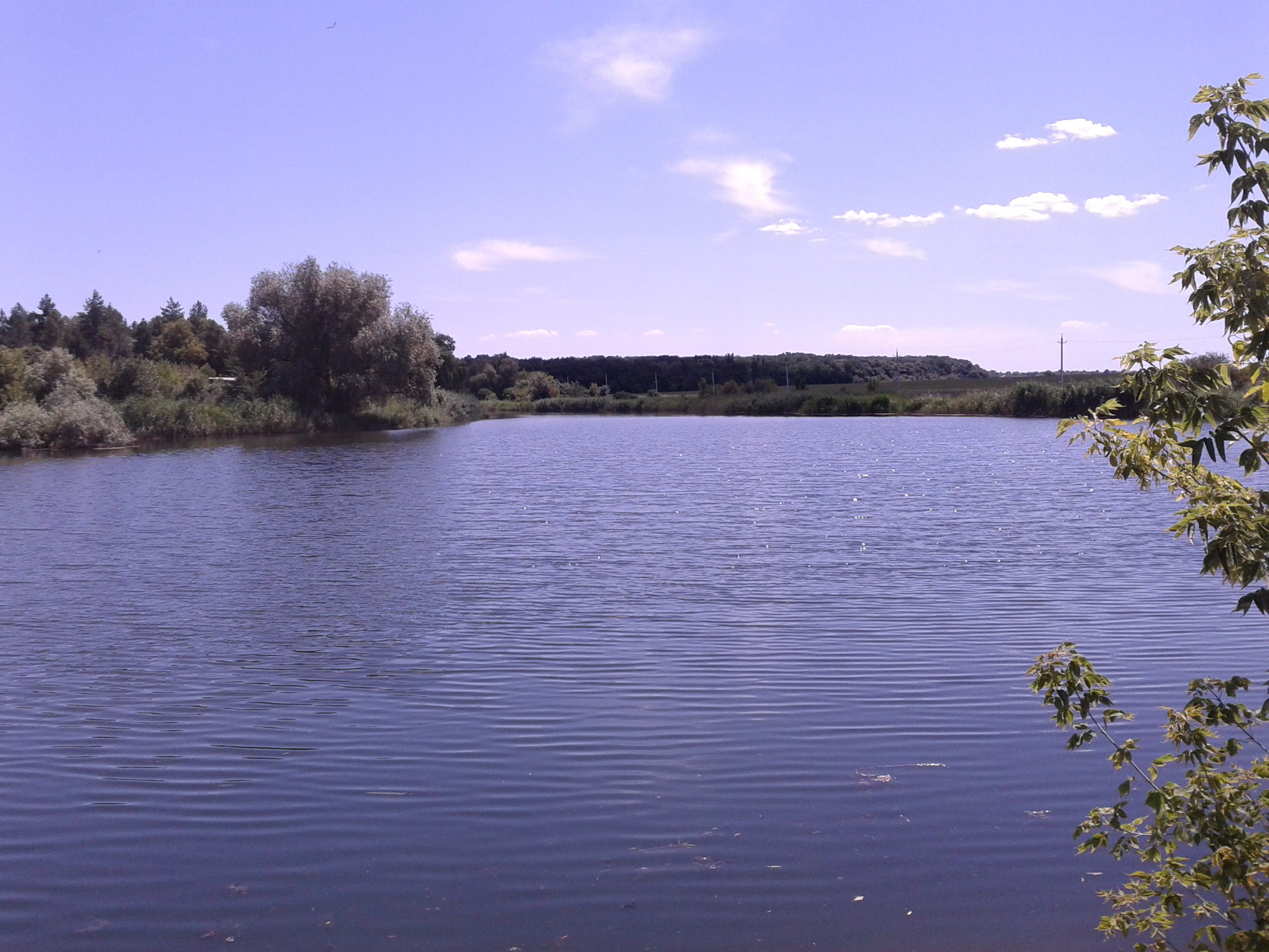 Pershyi (1st) Pond - Zelenyi Hay