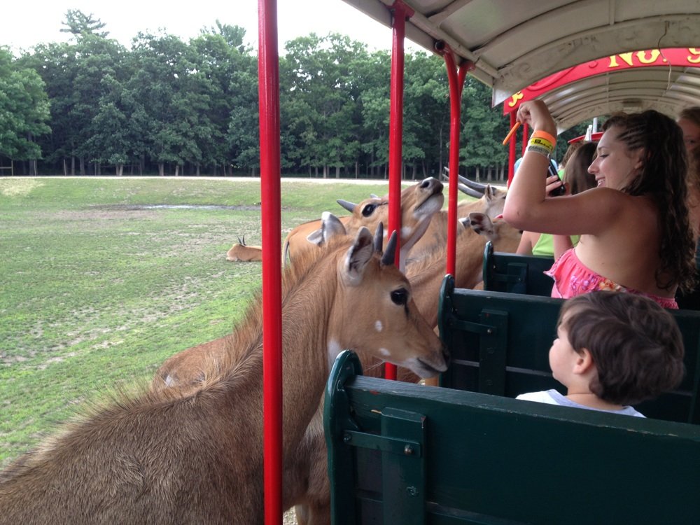 Safari Train - Wisconsin Dells, Wisconsin