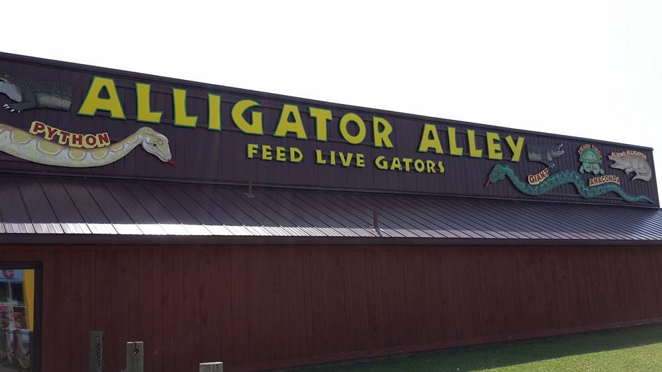 Alligator Alley - Lake Delton, Wisconsin