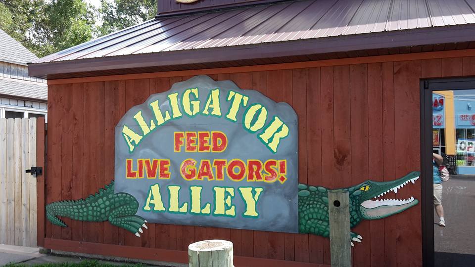 Alligator Alley - Lake Delton, Wisconsin