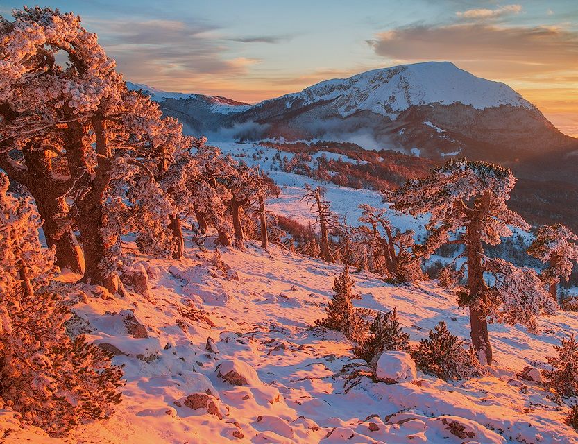 Parco Nazionale del Pollino | area naturale protetta, Luogo del ...