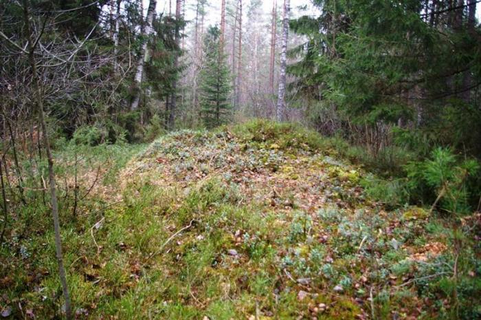 Didžiulių pilkapynas