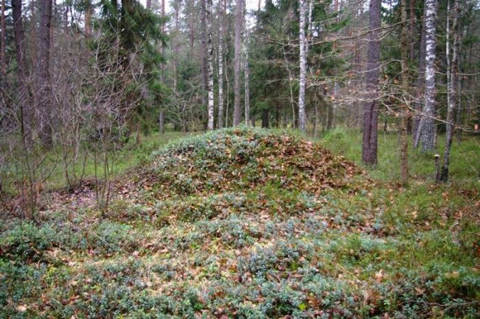 Didžiulių pilkapynas