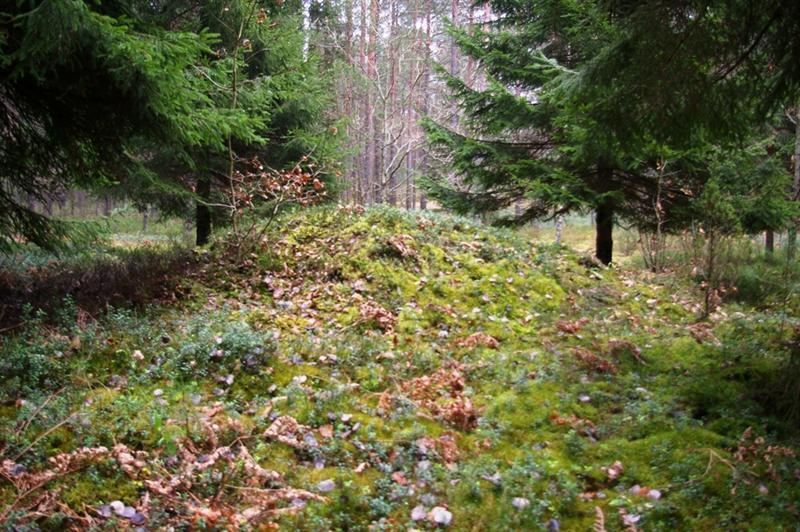 Didžiulių pilkapynas