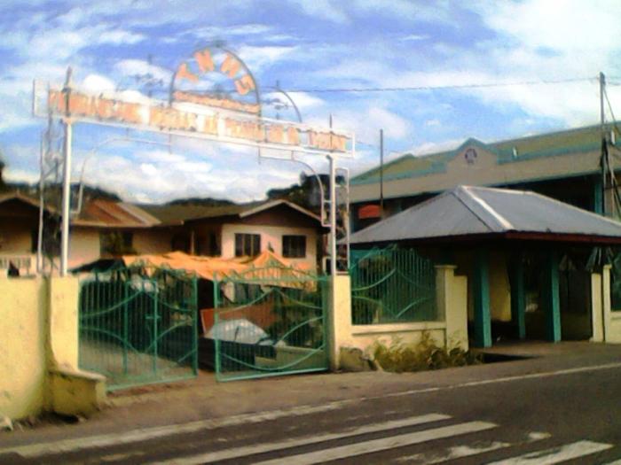 Tagudin National High School - Tagudin