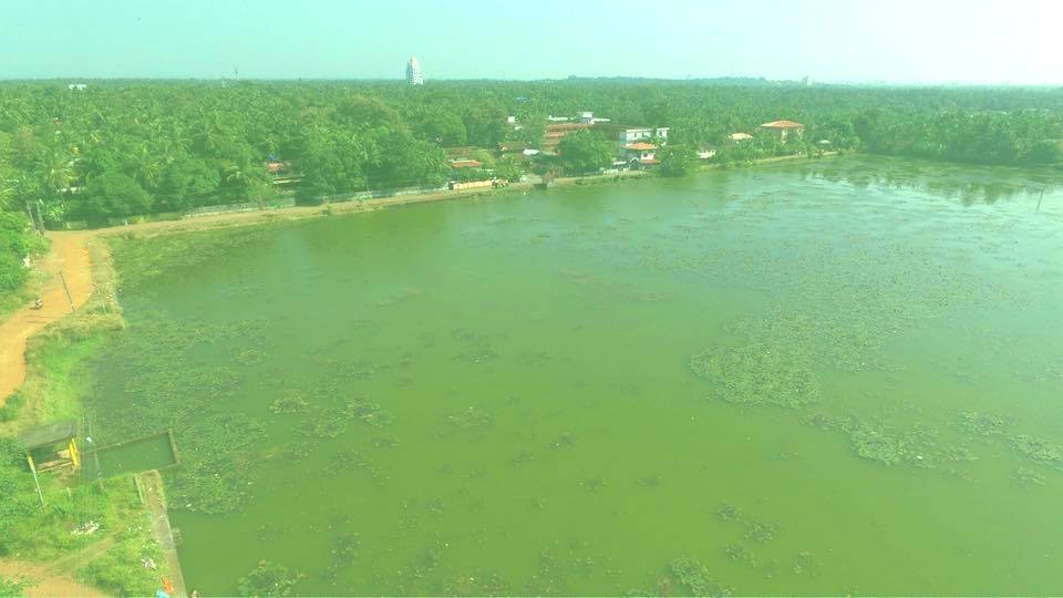 Chirakkal Chira - Kannur
